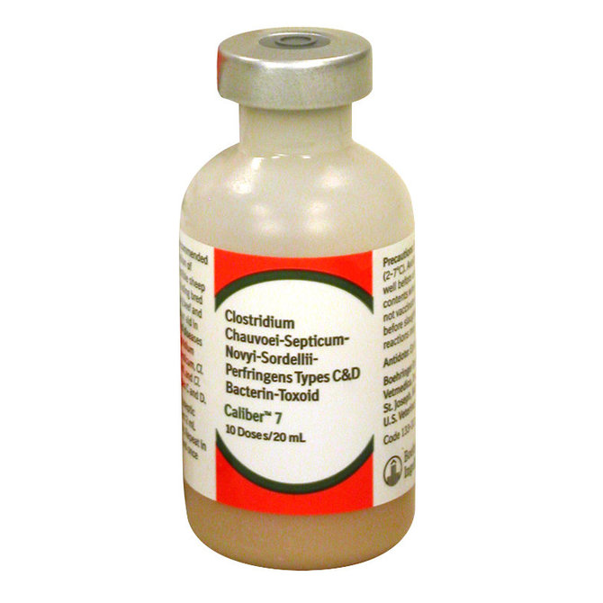 Caliber 7 Cattle and Sheep Vaccine